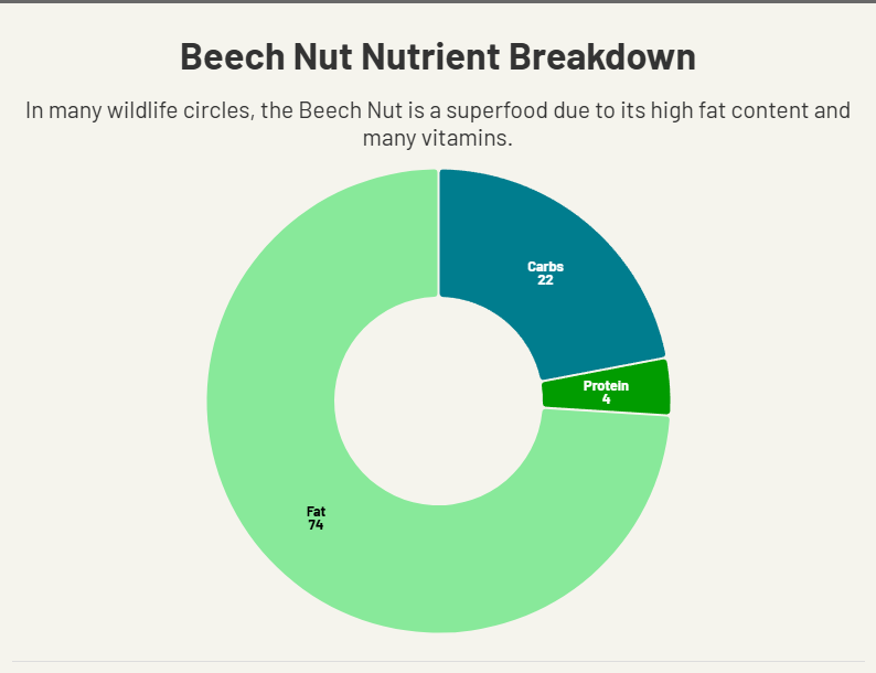 Understanding Beech Leaf Disease