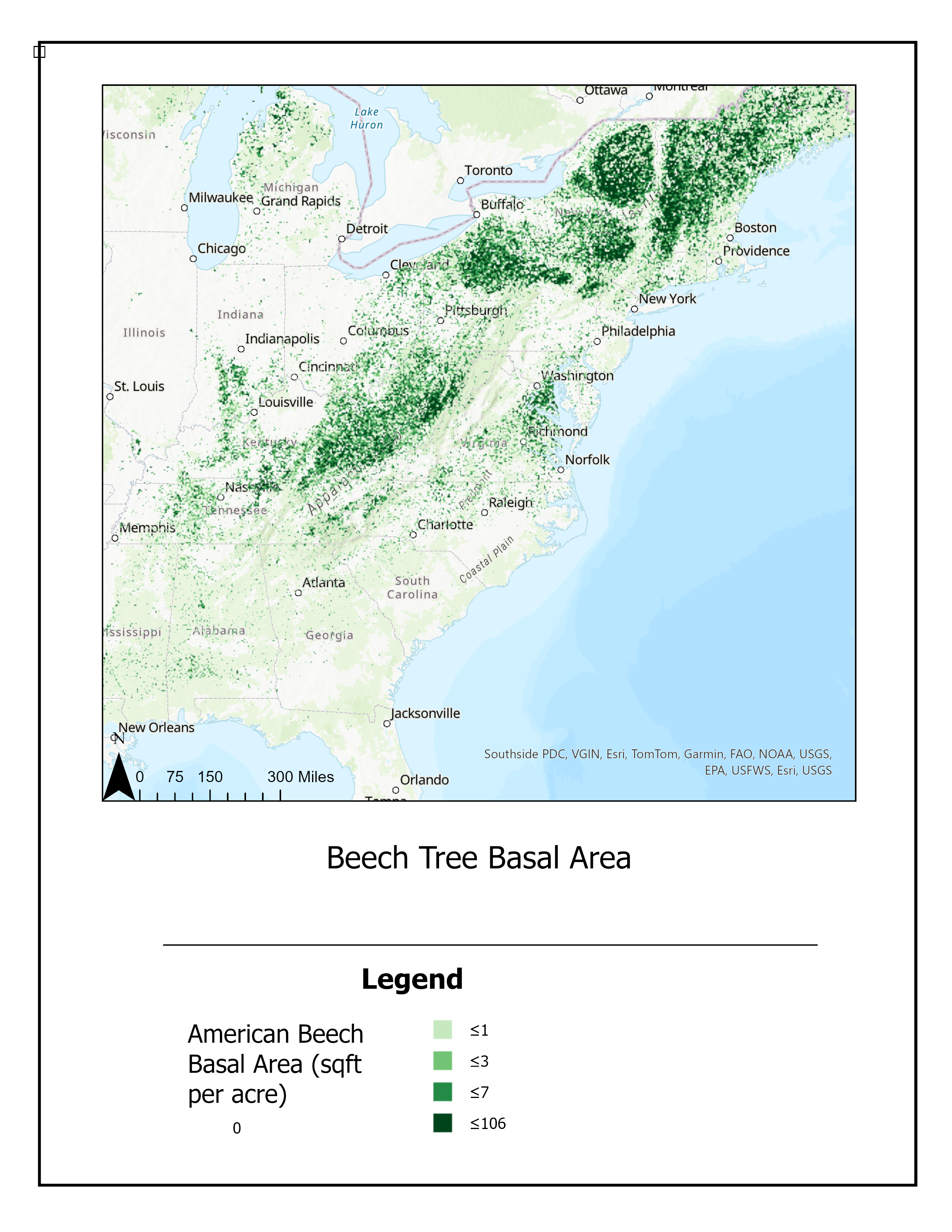 Understanding Beech Leaf Disease